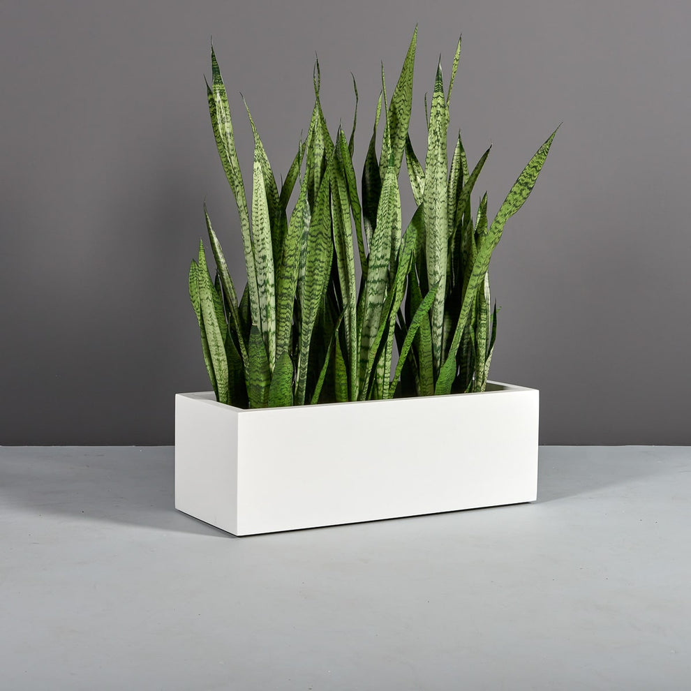 Low Rectangular FRP Planter – Topplants by Terrascape